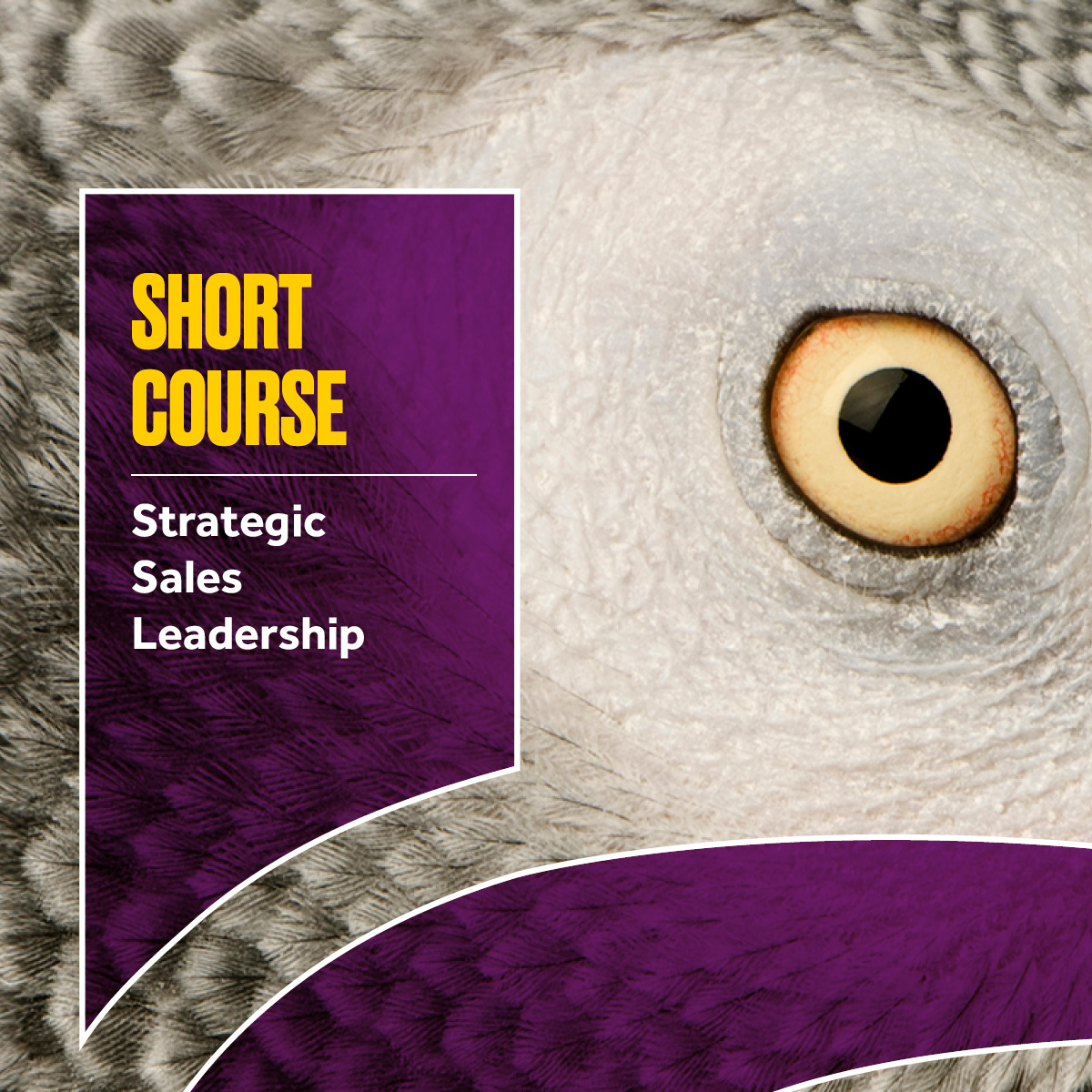 Business Short Courses | Henley Business School